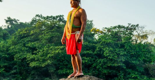 Amazon Conservation Team | DonateStock