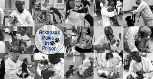 Arkansas Paws in Prison | DonateStock